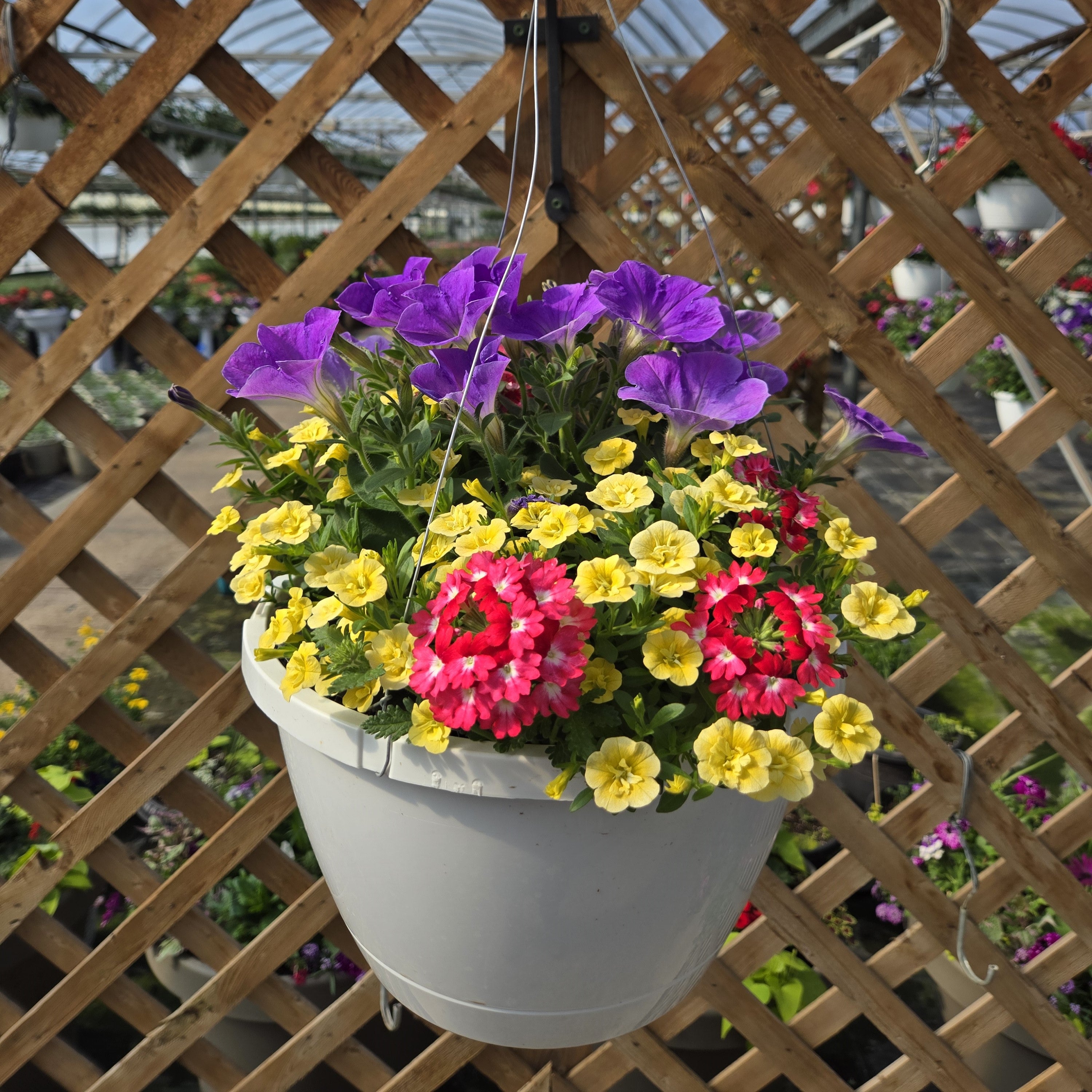 Combination Basket - Blue, Yellow, And Pink – Bloom Baskets