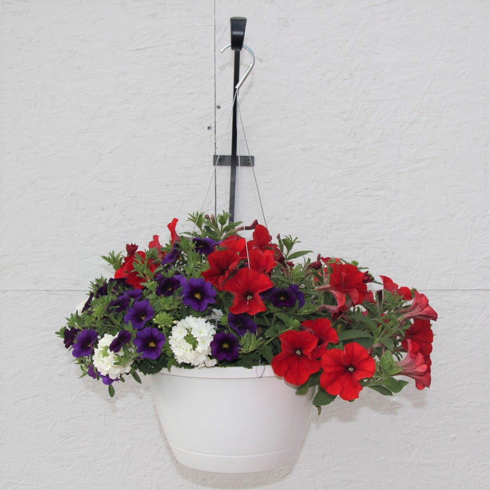 Collections – Bloom Baskets
